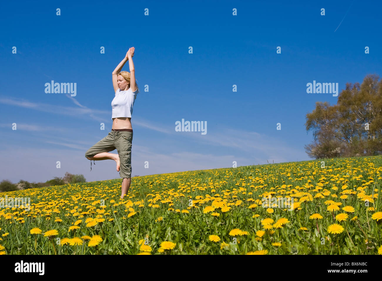 Yoga flowers hi-res stock photography and images - Alamy