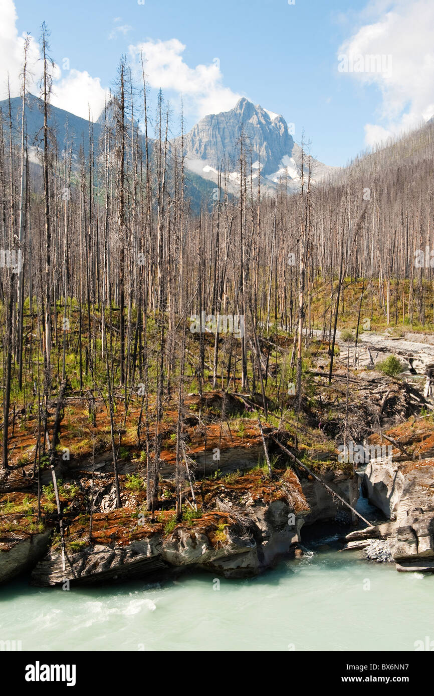 Vermilion river hi-res stock photography and images - Alamy