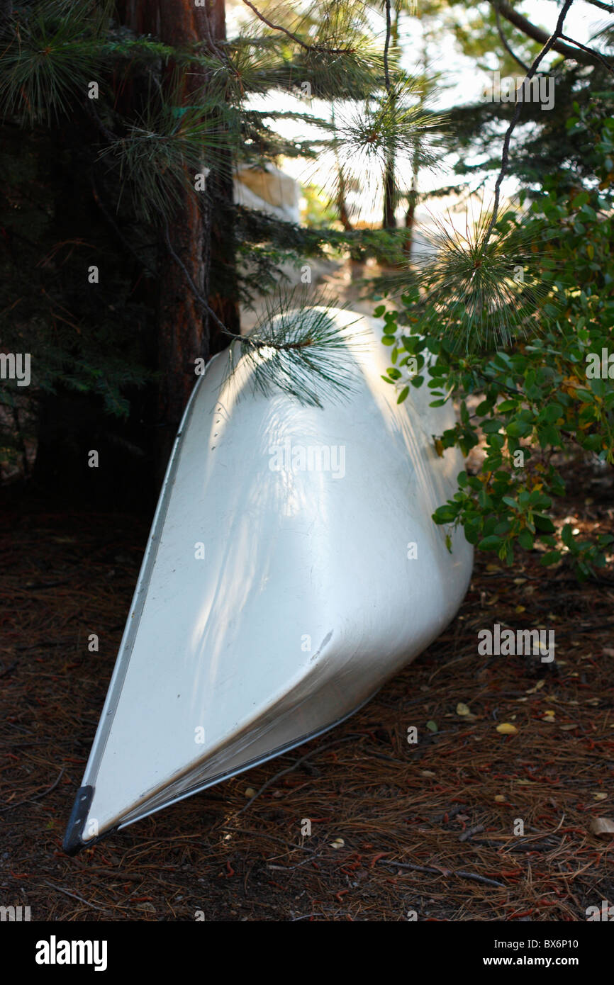 A canoe under pine trees along the shoreline.Pinecrest Lake, Tuolumne ...