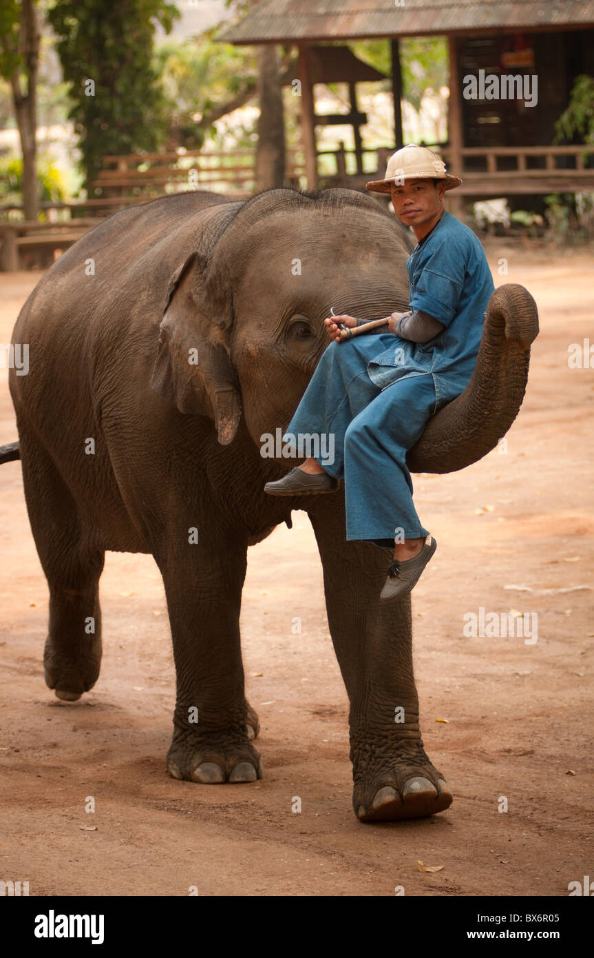 Elephant Conservation Center, Lampang, Thailand, Southeast Asia, Asia ...
