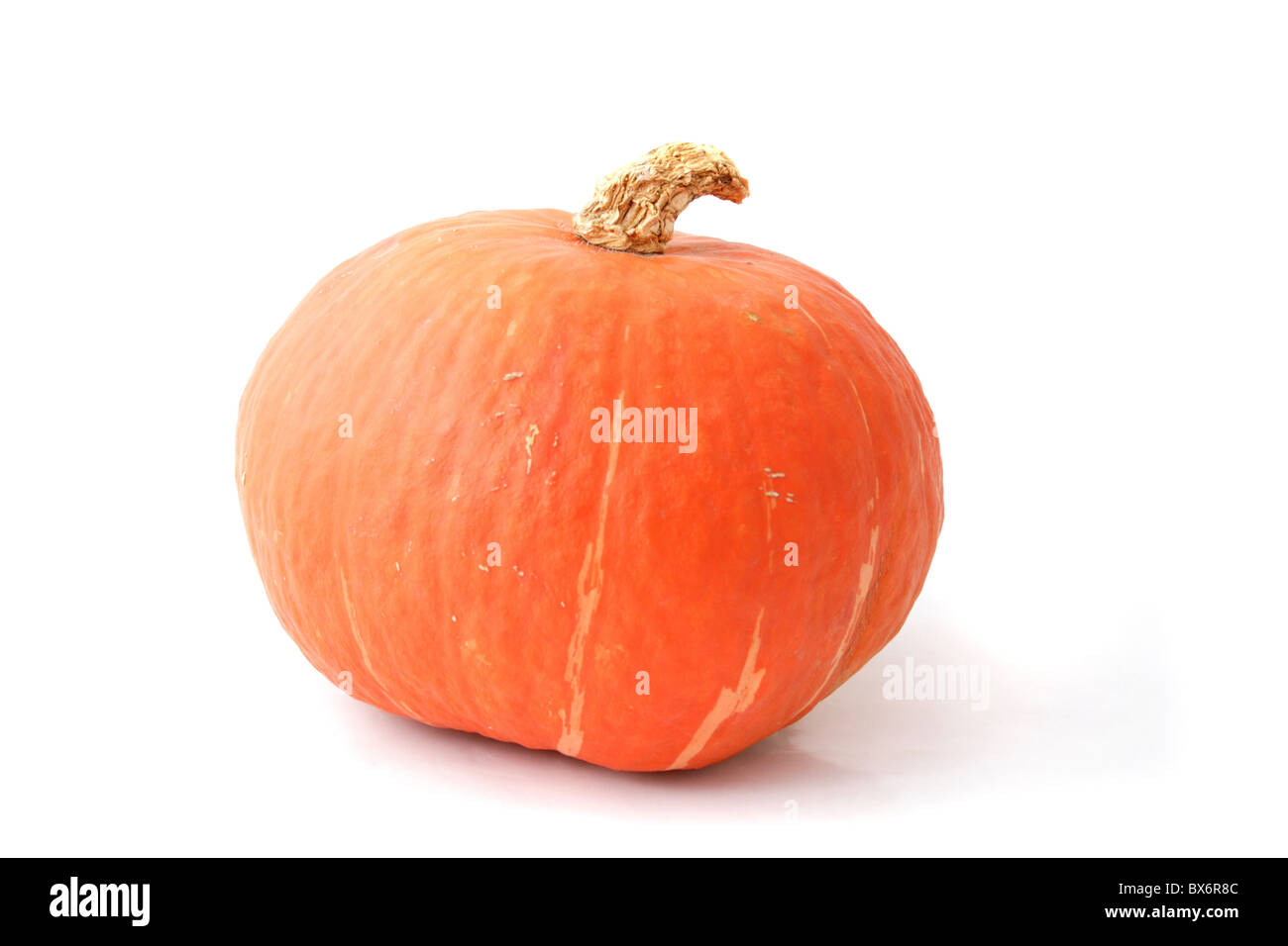 A single pumpkin. All isolated on white background Stock Photo - Alamy