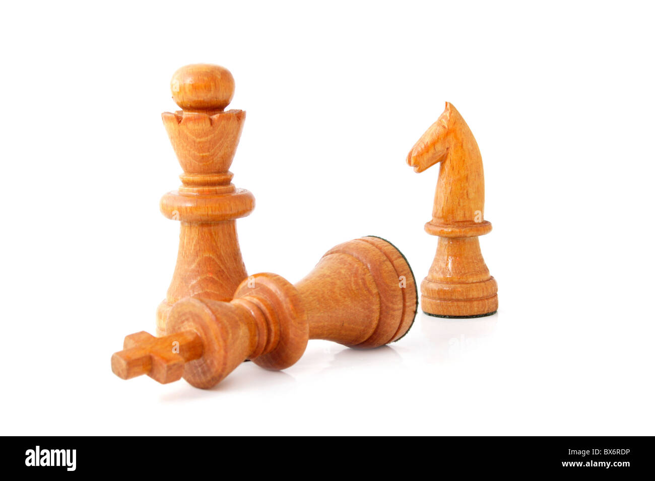 Horse standing in front Cut Out Stock Images & Pictures - Alamy