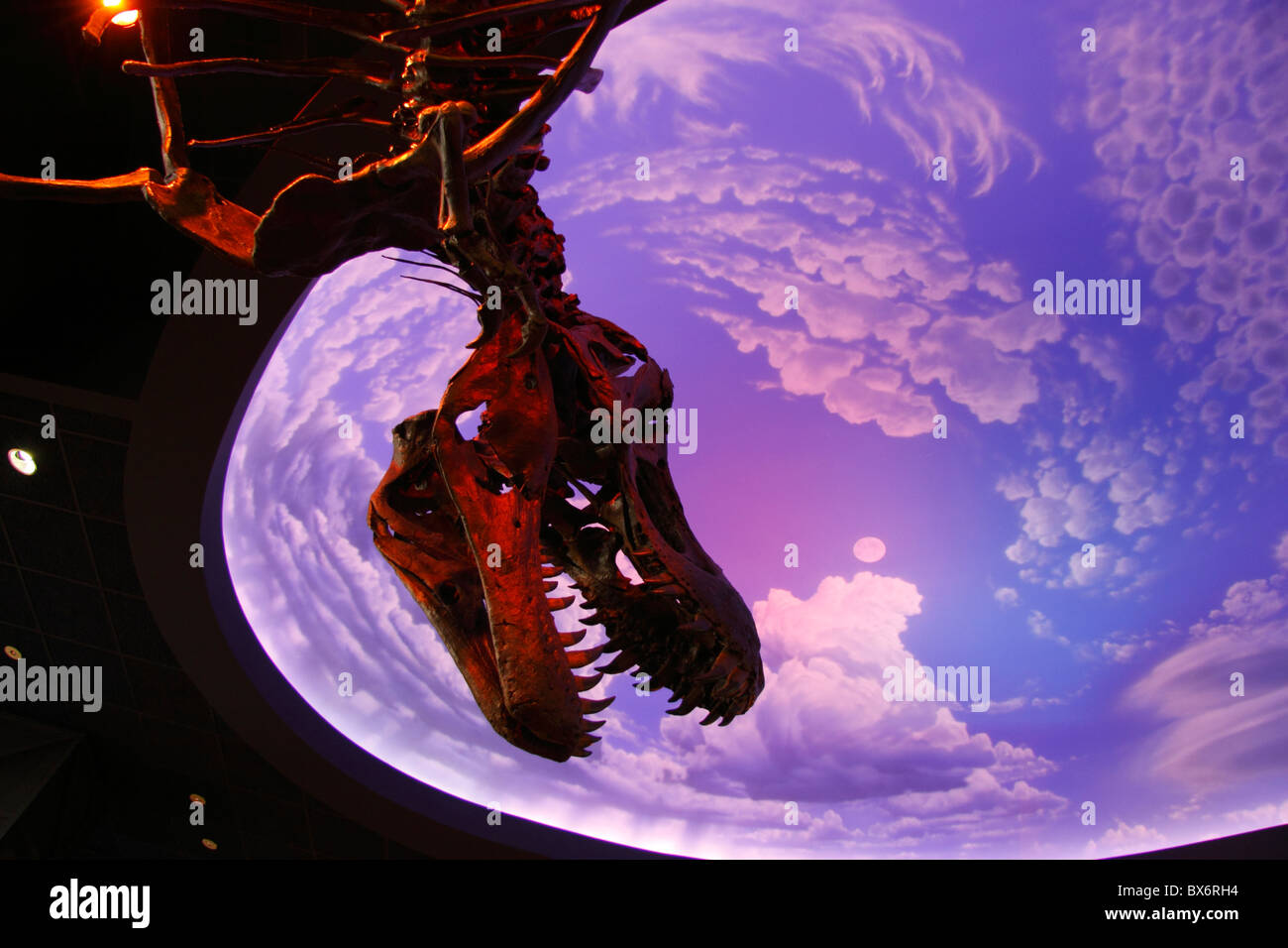 The dinosaur and sky in the children's library at the Cerritos Library ...