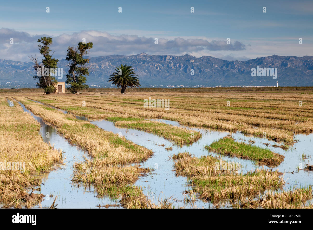 Around Deltebre, Natural Park of Delta de l'Ebre, Tarragona, Spain ...