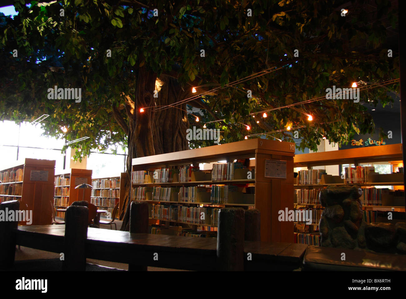 Children's library books hi-res stock photography and images - Alamy