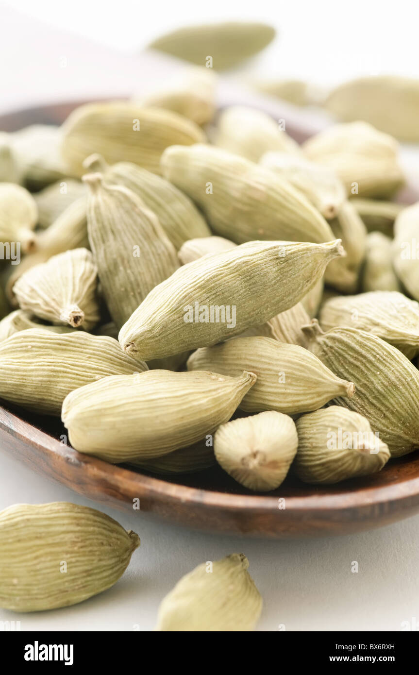 Open seed capsule hi-res stock photography and images - Alamy