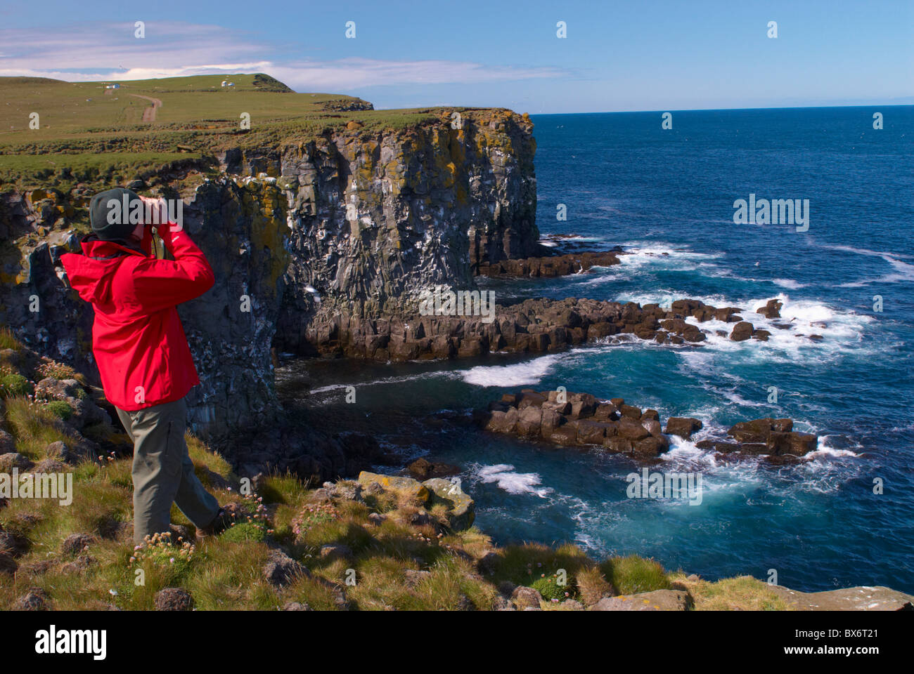 Birdwatching at Langanes peninsula, bird cliffs and gannetry, North ...