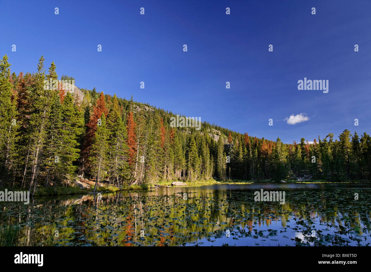 Nymph Lake, Rocky Mountain National Park, Estes Park, Colorado, USA ...