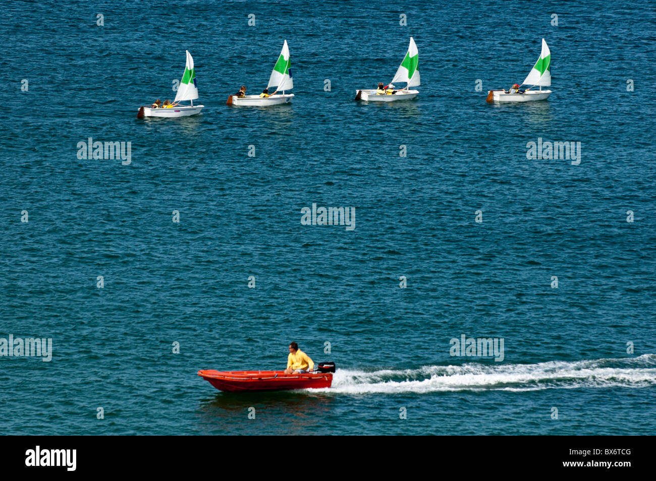People learning to sail in small optimist dinghies Stock Photo - Alamy