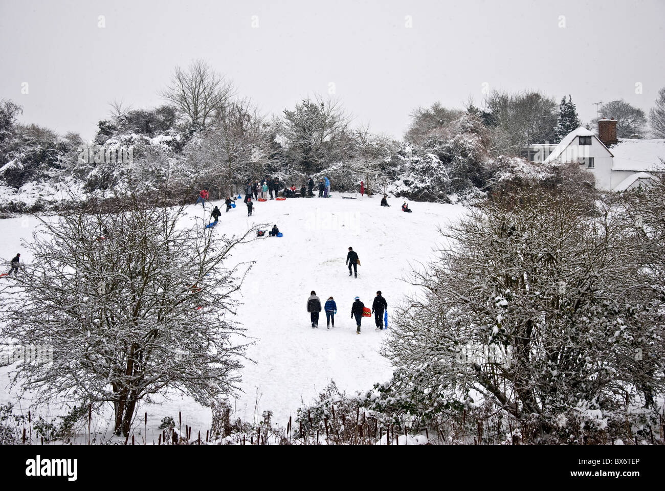 People enjoying snow Stock Photo - Alamy