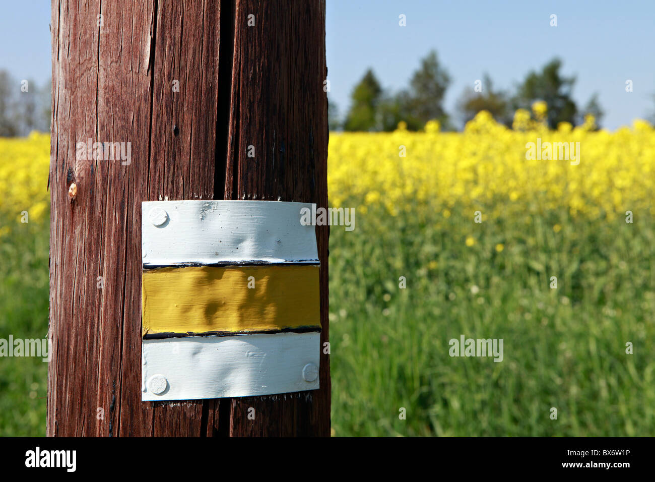 tourist signs, yellow, field, column Stock Photo - Alamy