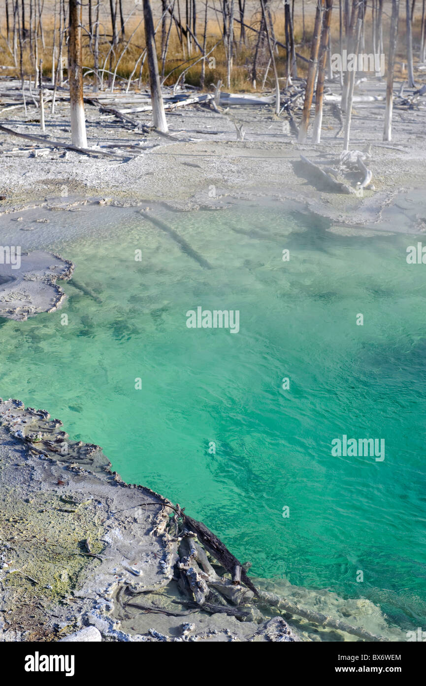 Cistern spring yellowstone hi-res stock photography and images - Alamy