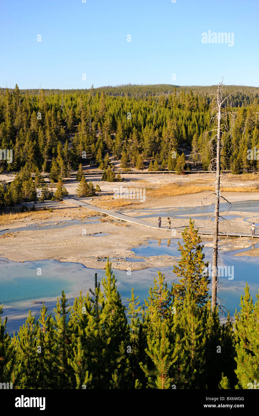 Yellowstone national park wyoming norris hi-res stock photography and ...