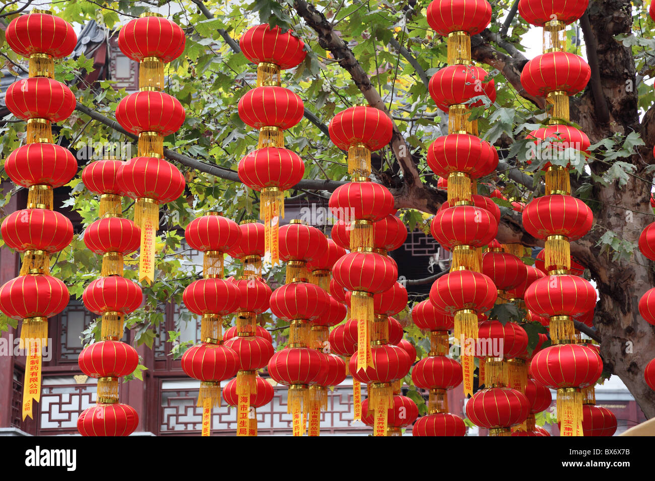 Red Chinese paper lantern in Shanghai, China Stock Photo - Alamy