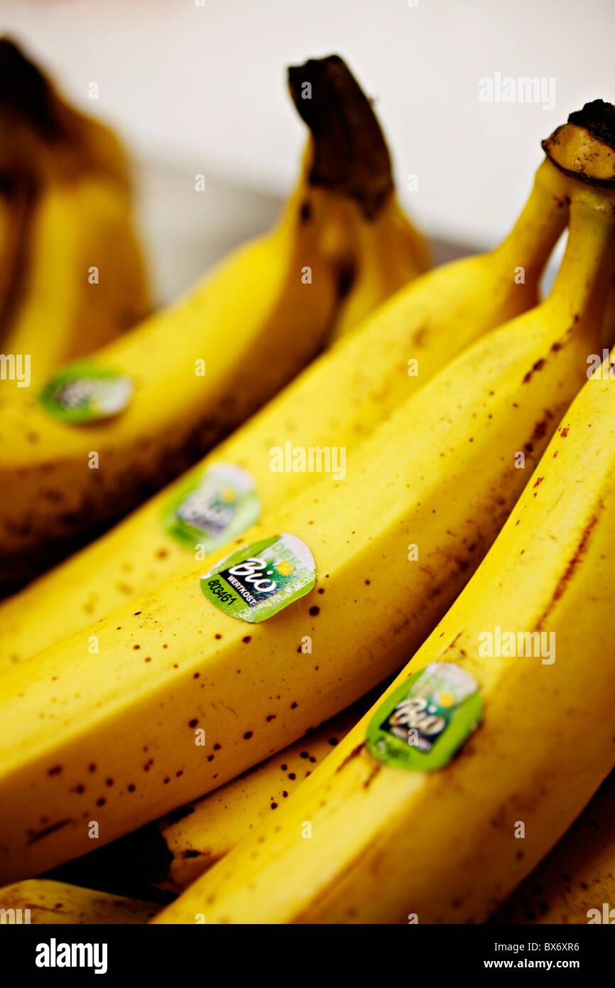 Bio, food, fruits, bananas. (CTK Photo/Josef Horazny, Martin Sterba ...