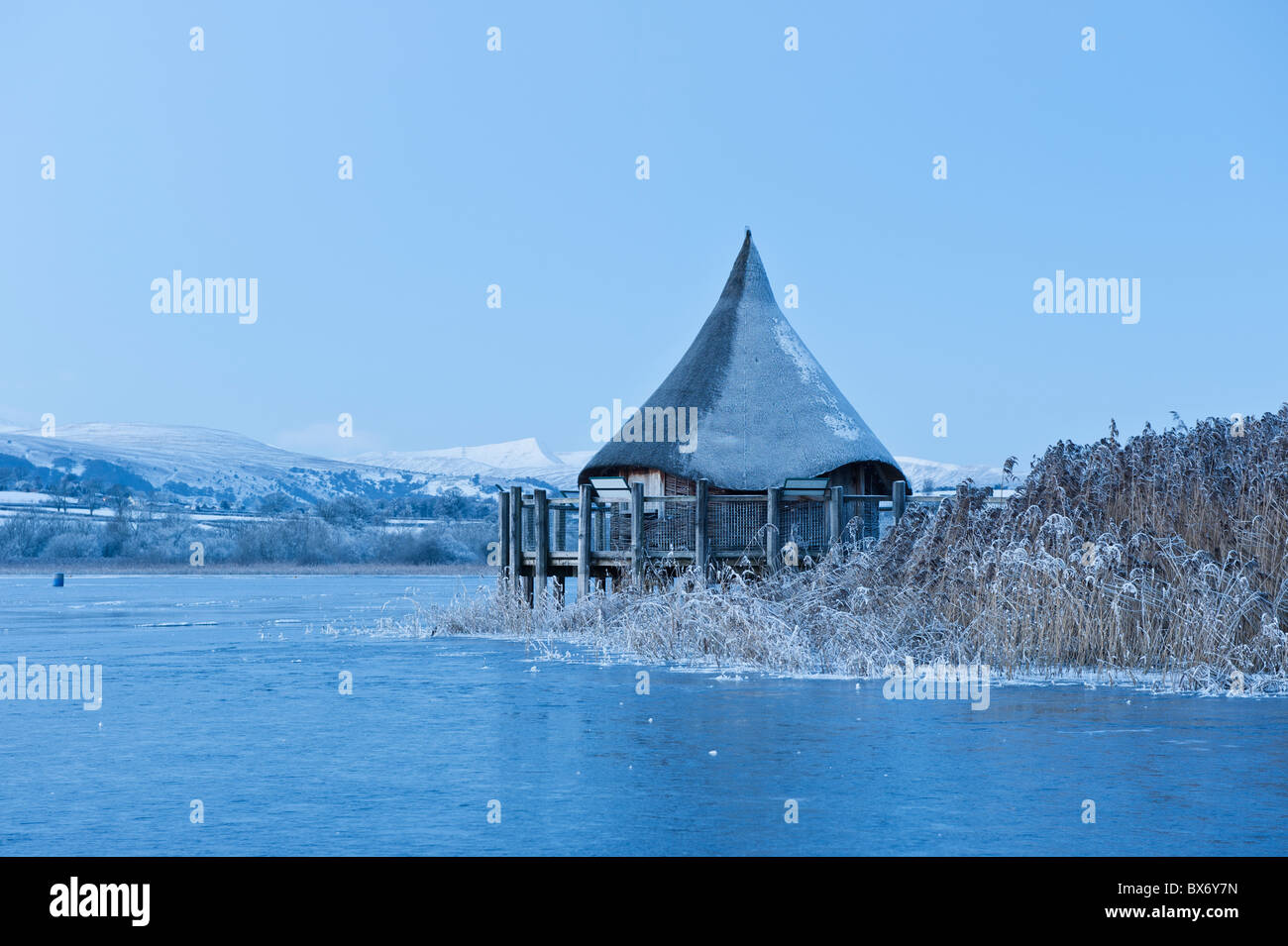 Replica Crannog historic structure on Llangorse lake, Brecon Beacons ...