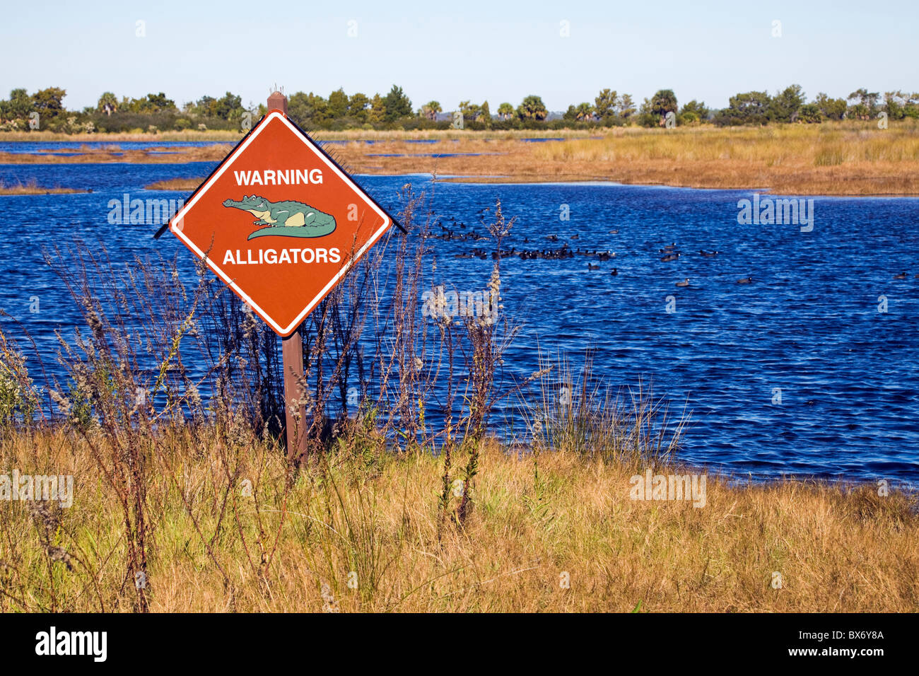 Aligators! - warning sign. Seen in St. Marks National Wildlife Refuge ...