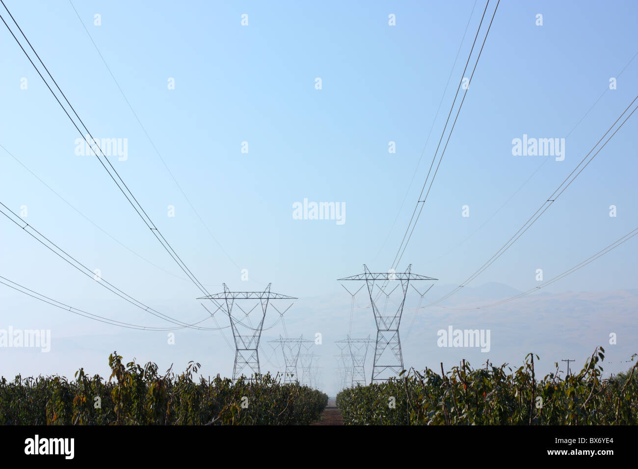 California current system hi-res stock photography and images - Alamy