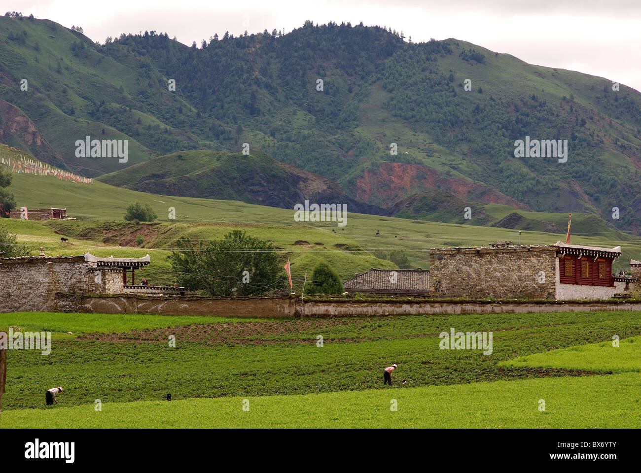 Tibetan areas in china hi-res stock photography and images - Alamy