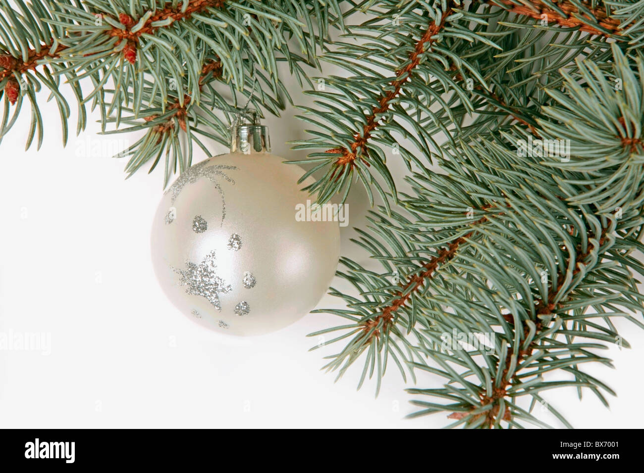 Fir tree cutout hi-res stock photography and images - Alamy