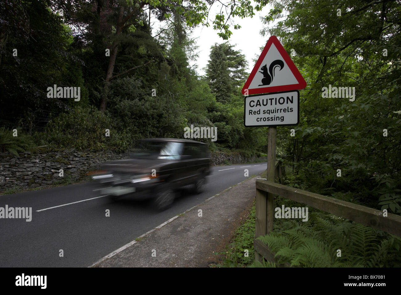 Squirrel Road Sign High Resolution Stock Photography and Images - Alamy