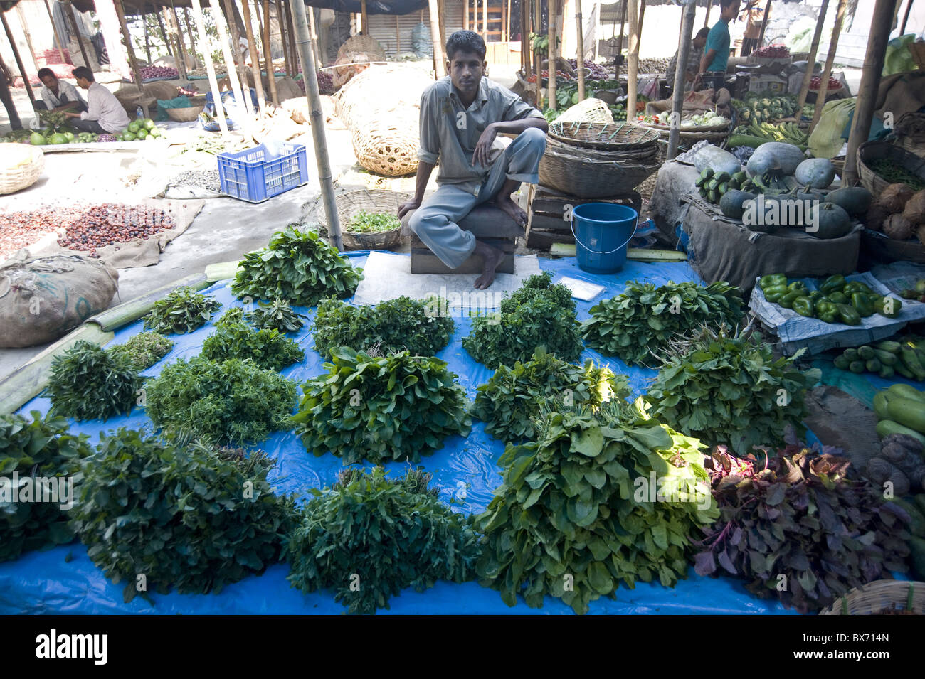 Green leaf vegetable and herb seller in early morning market on the ...