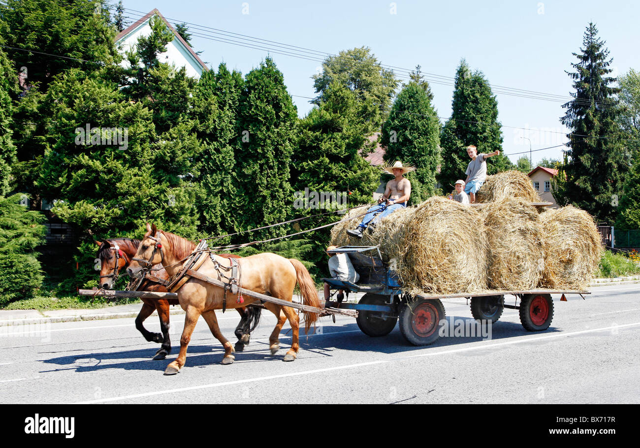 A horse-drawn carriage with load of straw. (CTK Photo/Martin Sterba ...