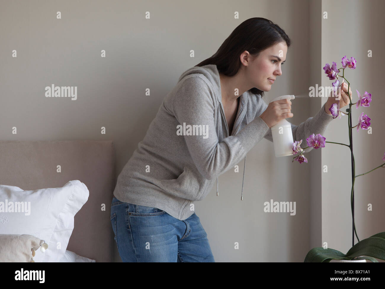 Woman spraying indoor plant Stock Photo - Alamy
