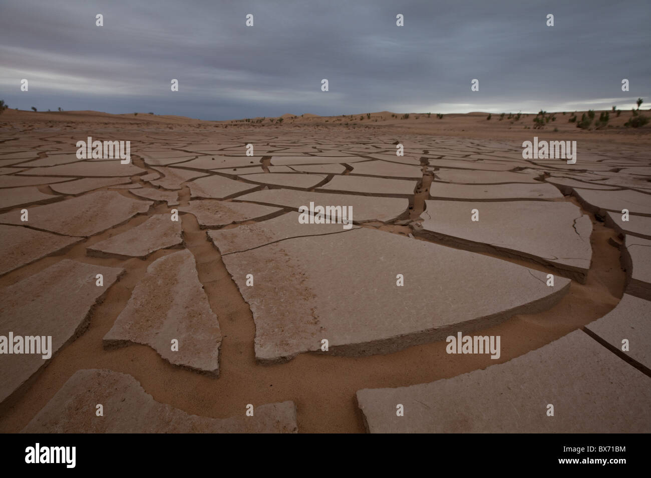 Drought dry cracked scorched earth at Khongor's sand dunes in the south ...
