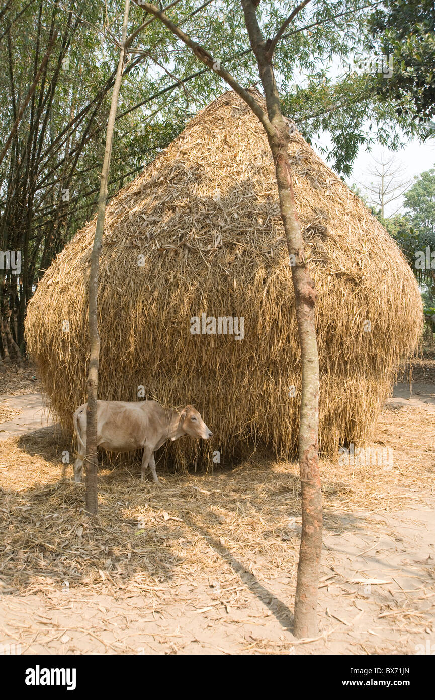 Haystack High Resolution Stock Photography and Images - Alamy