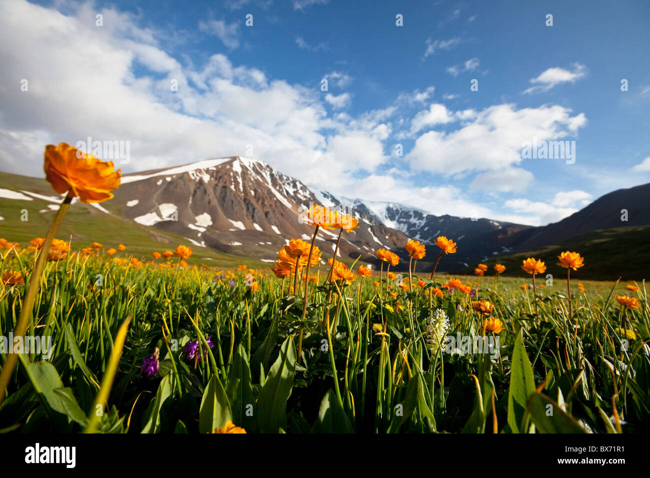 Altai Mountains Wallpaper