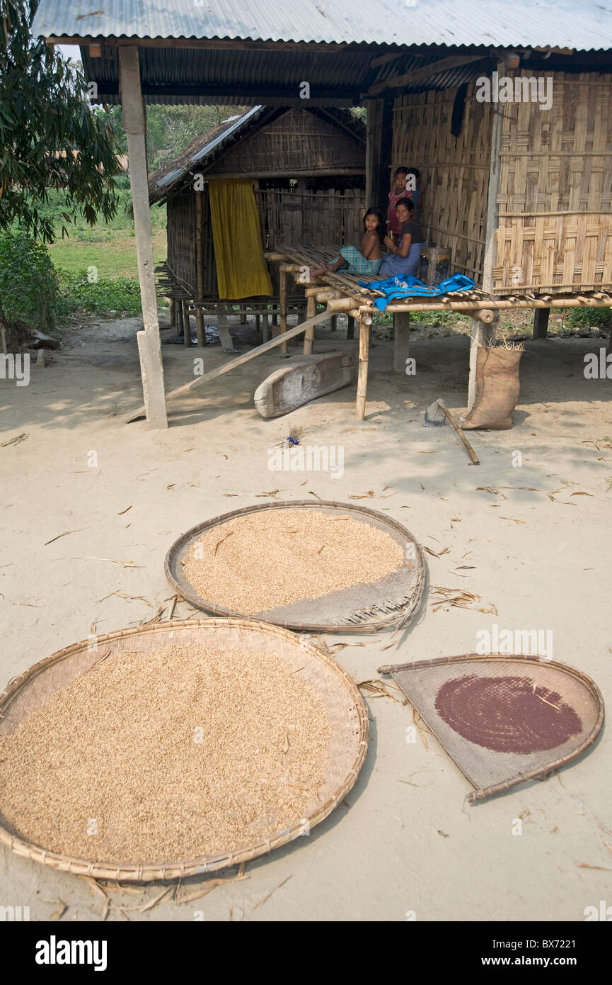 Tribal food High Resolution Stock Photography and Images - Alamy