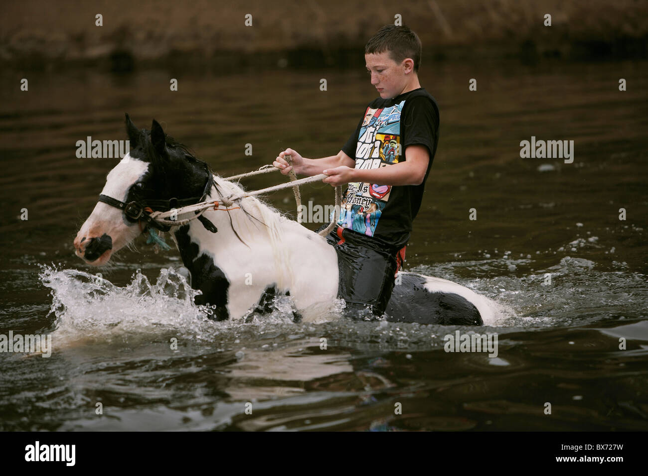 Gypsy traveller riding and washing a horse in the river Eden during the ...