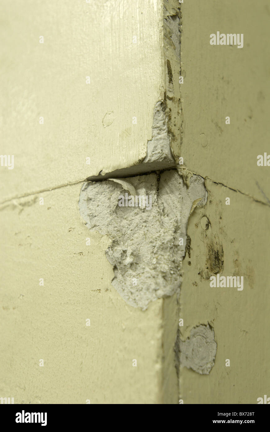 Disturbed site hi-res stock photography and images - Alamy