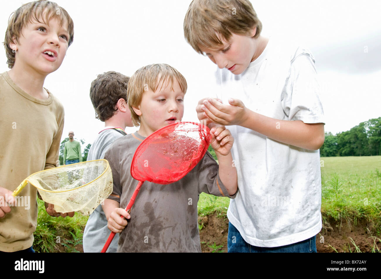 Fish catching insect hi-res stock photography and images - Alamy