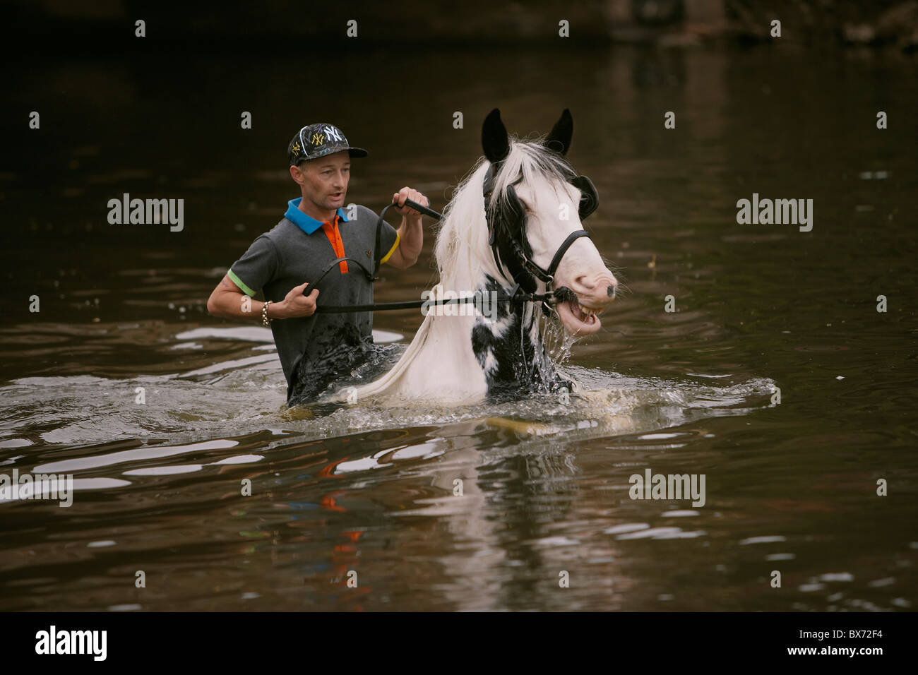 Gypsy travellers riding and washing horses in the river Eden during the ...