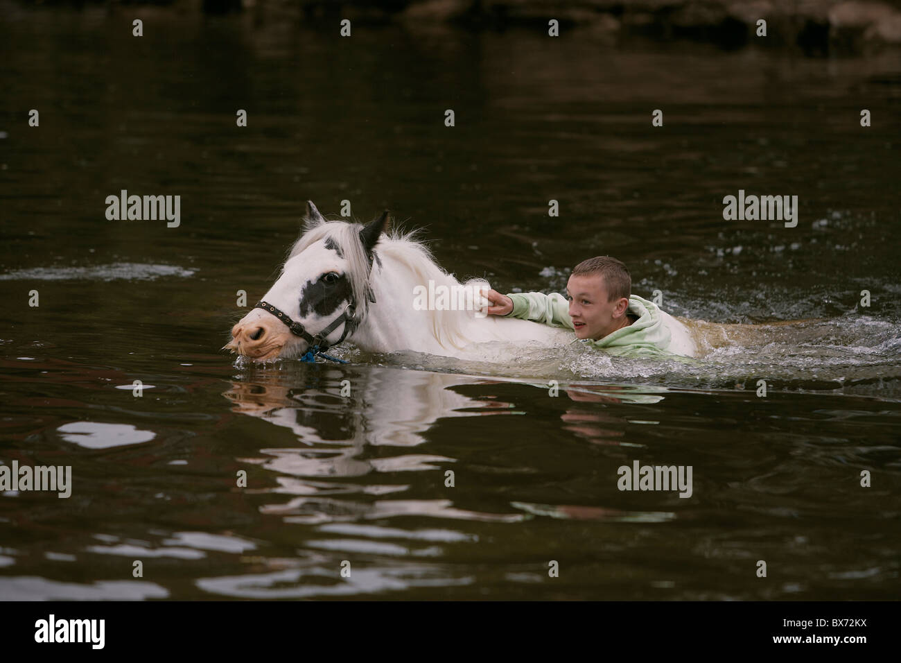 Gypsy travellers riding and washing horses in the river Eden during the ...