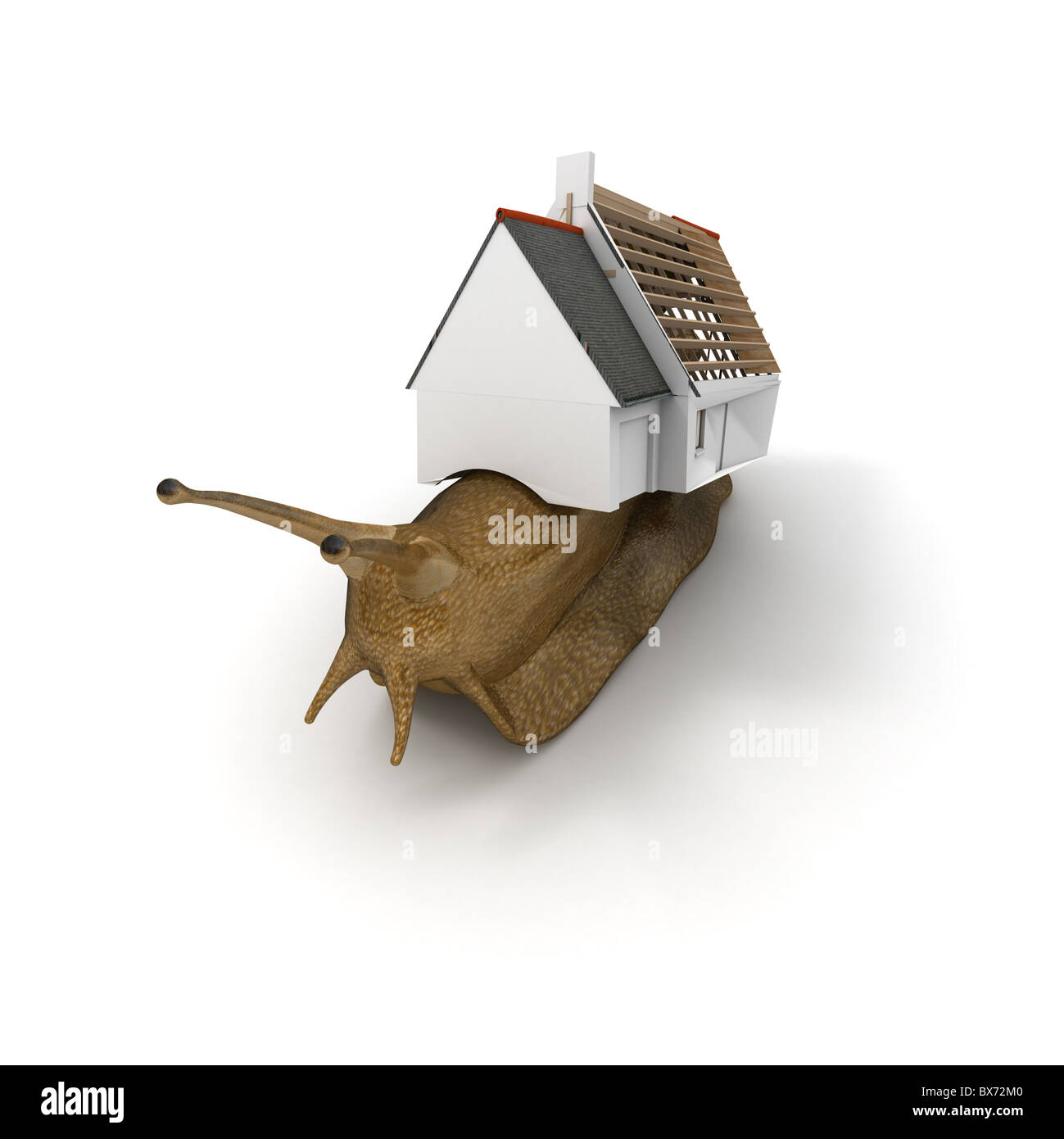 Snail architecture Cut Out Stock Images & Pictures - Alamy