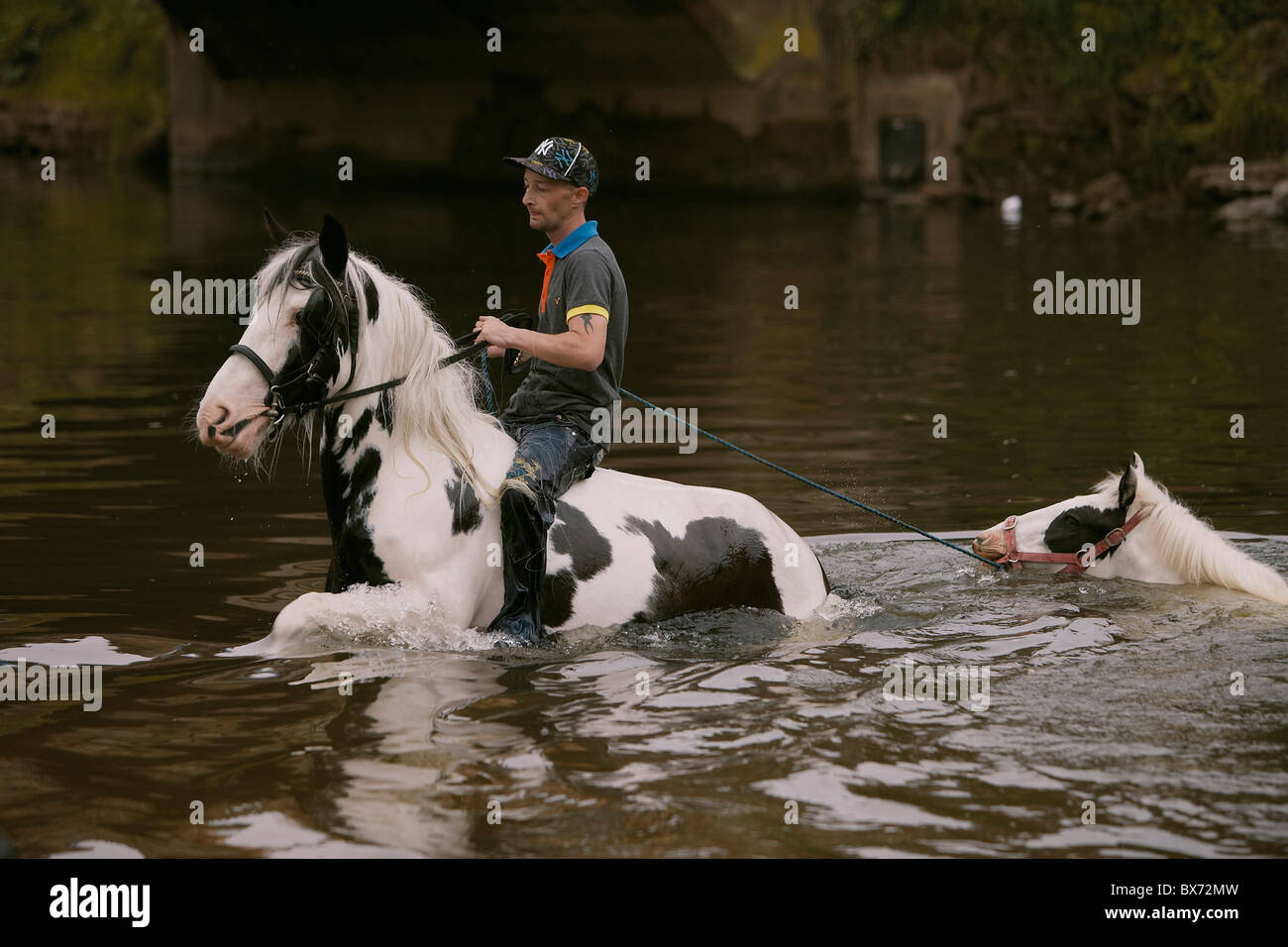Gypsy travellers riding and washing horses in the river Eden during the ...