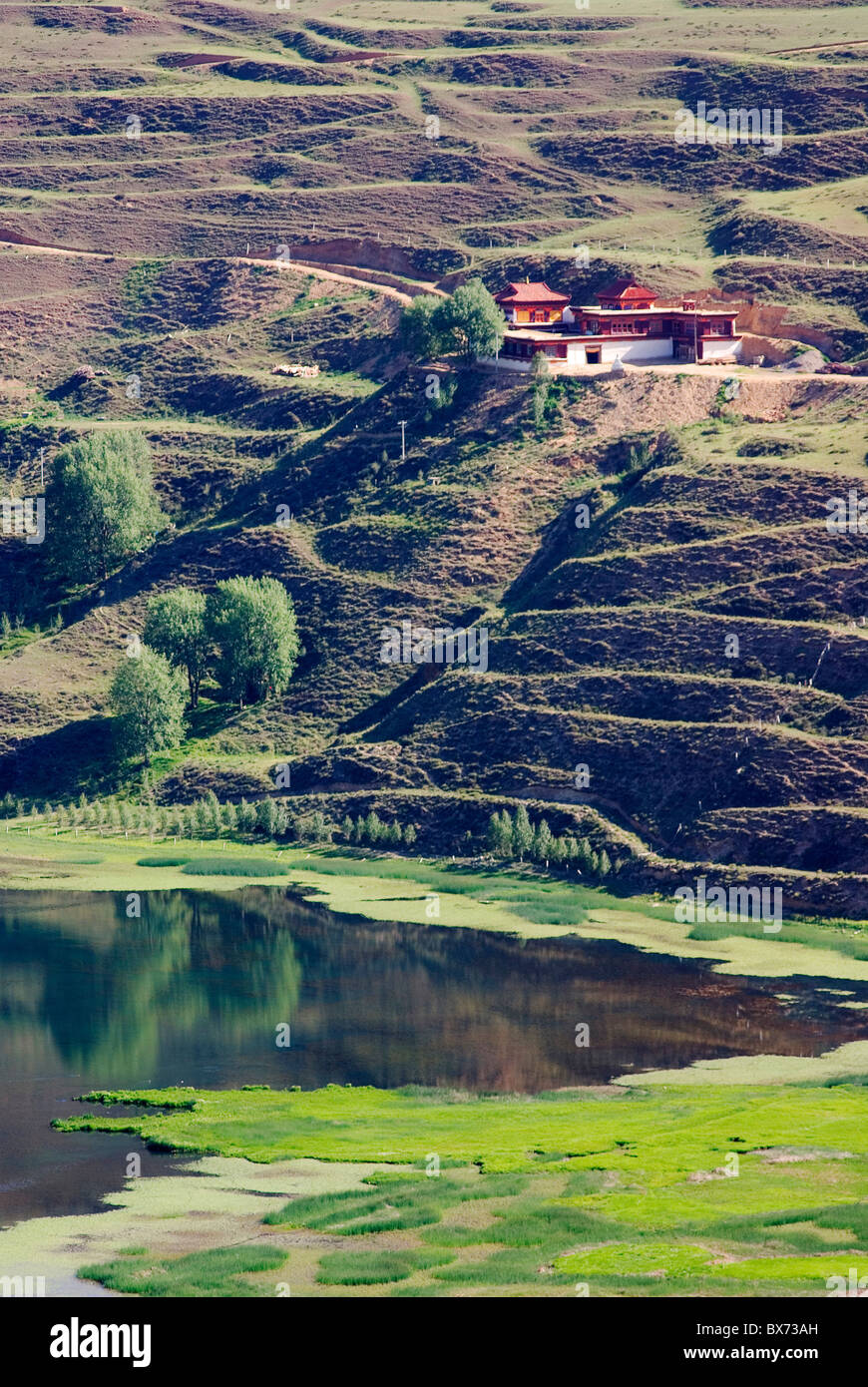 tibetan house on terraced hills,sichuan,china Stock Photo - Alamy