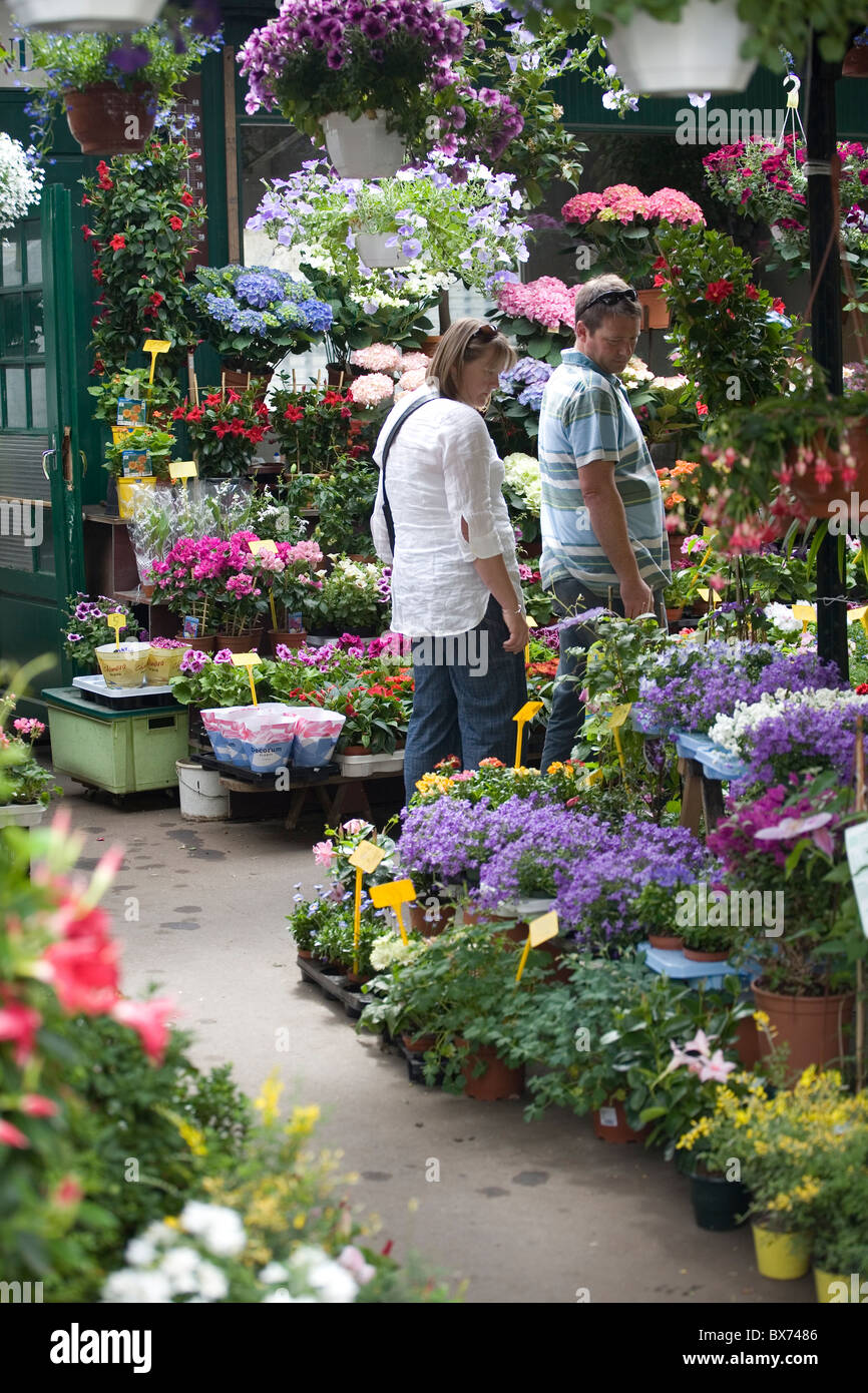 Paris flower market ile de la cité hi-res stock photography and images ...