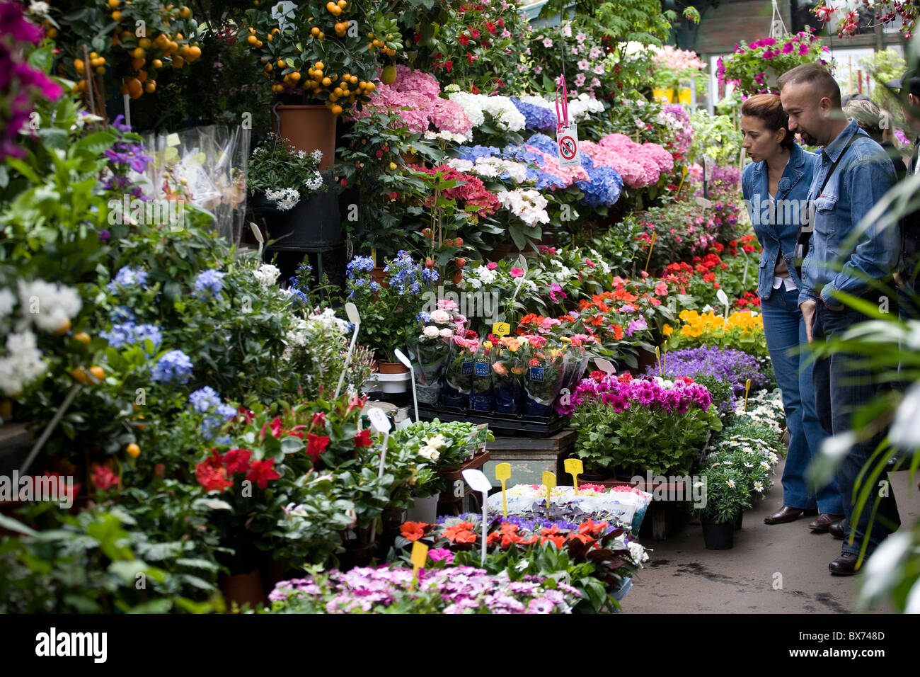 Flower market paris ile de la cité hi-res stock photography and images ...