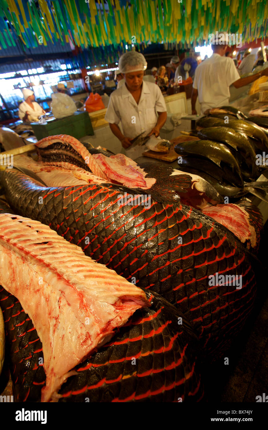 Manaus fish market hi-res stock photography and images - Alamy