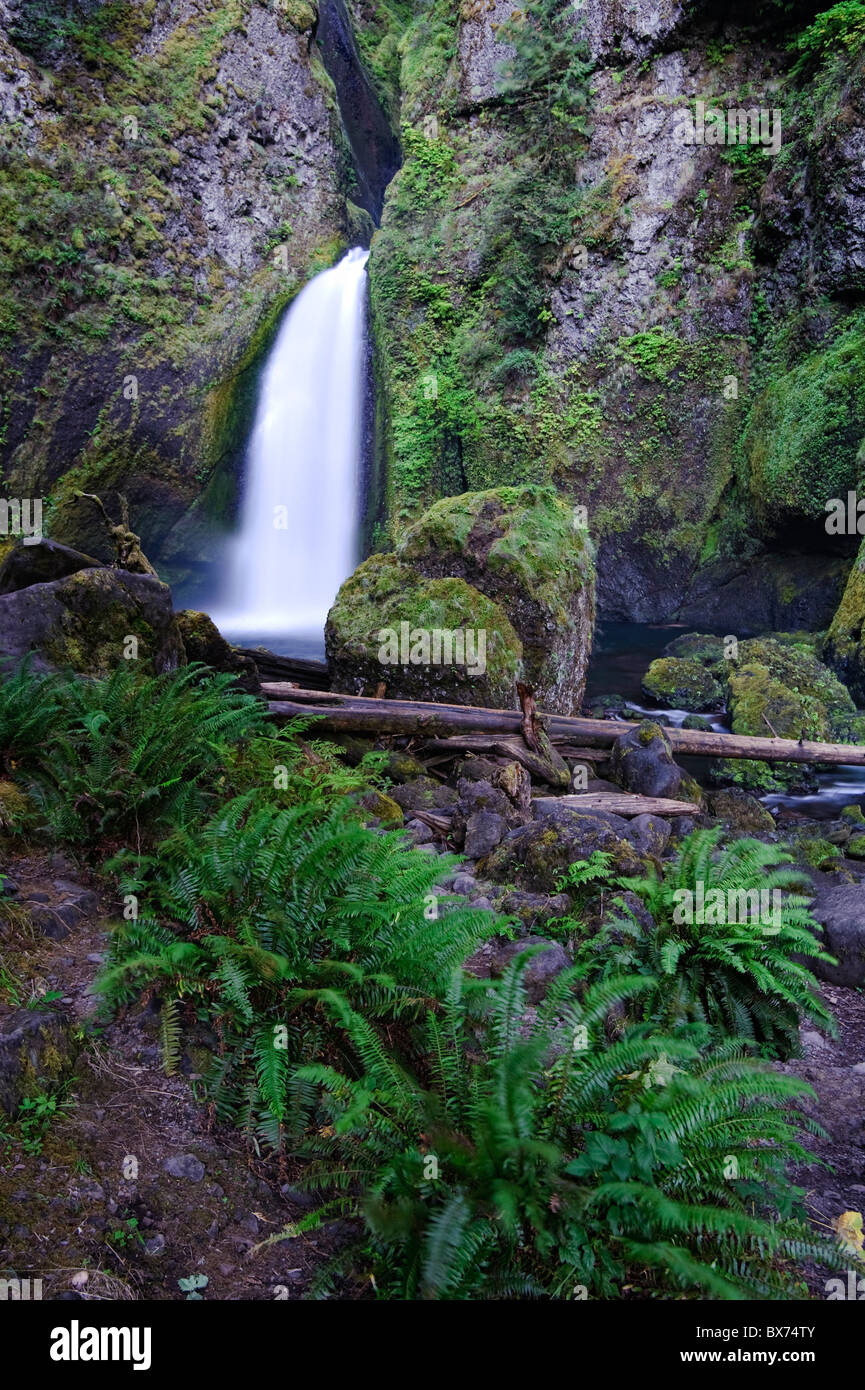Columbia gorge waterfall hi-res stock photography and images - Alamy