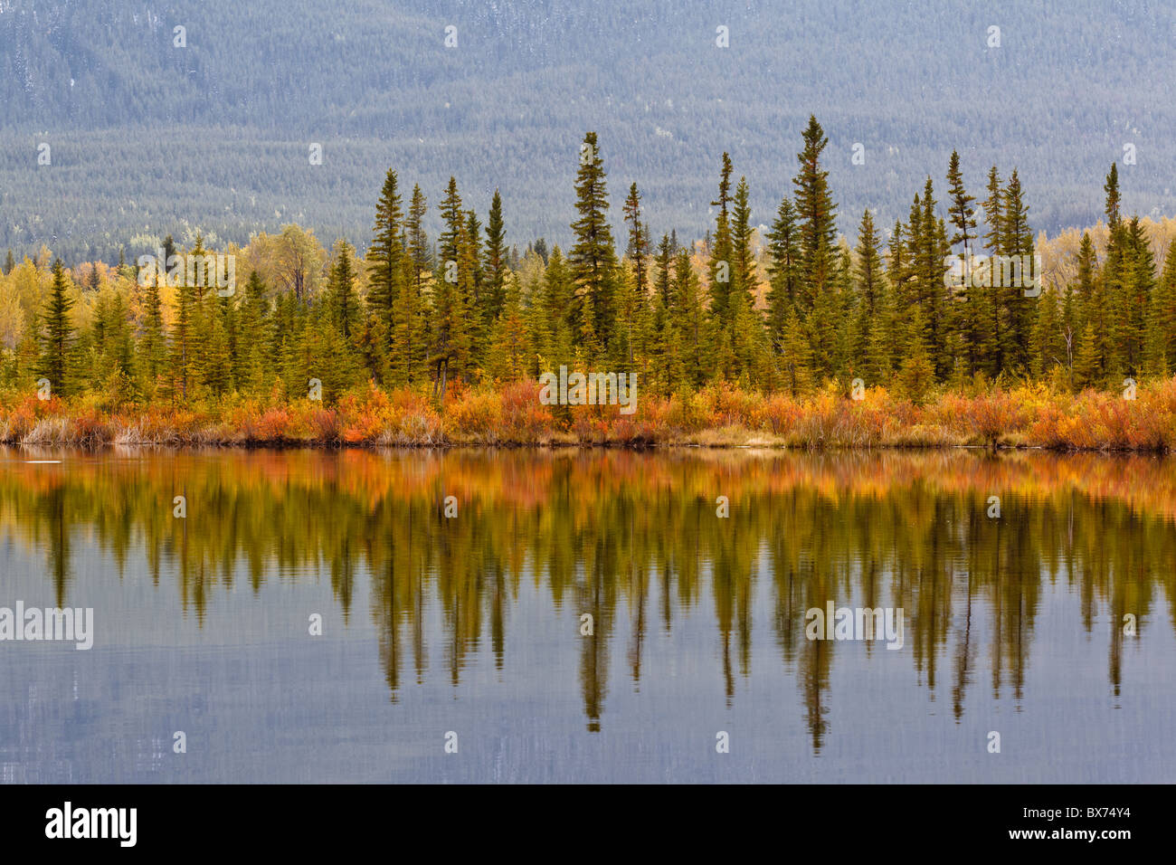 Reflections in Vermillion Lake, Banff National Park, Alberta, Canada ...