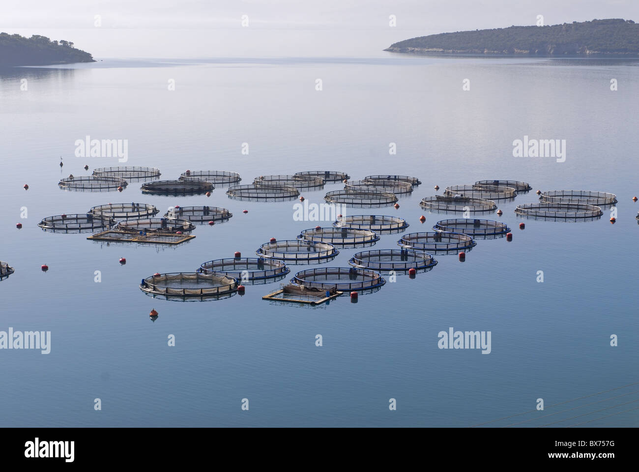 Aerial view fish farm near hi-res stock photography and images - Alamy