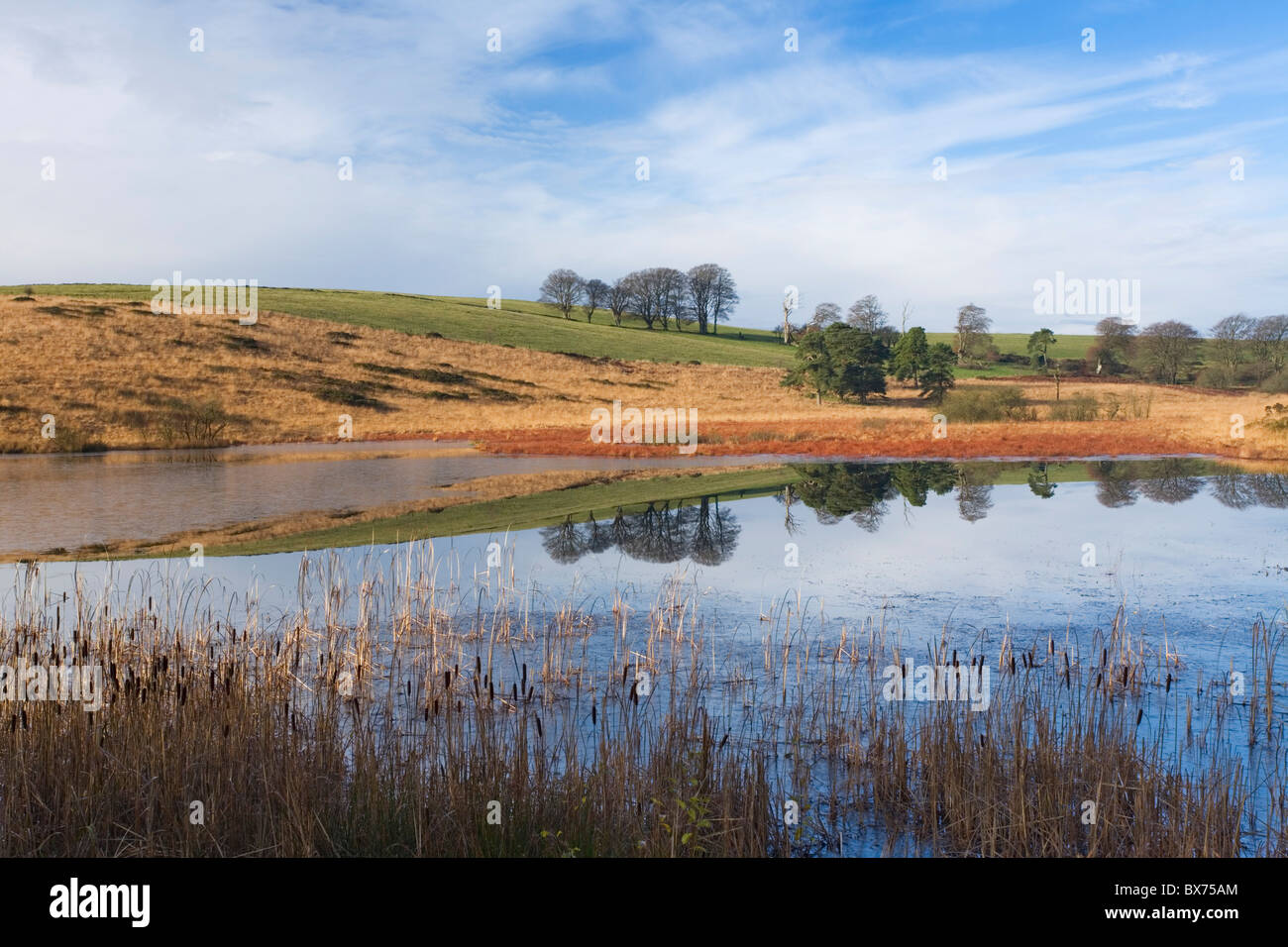 Priddy Pond and North Hill. Priddy Mineries. The Mendips. Somerset ...