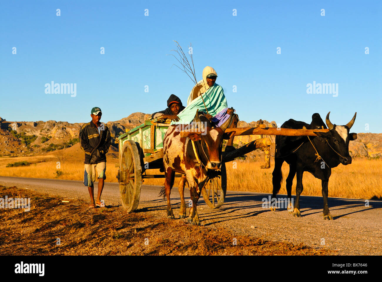 Madagascar national park isalo road hi-res stock photography and images ...