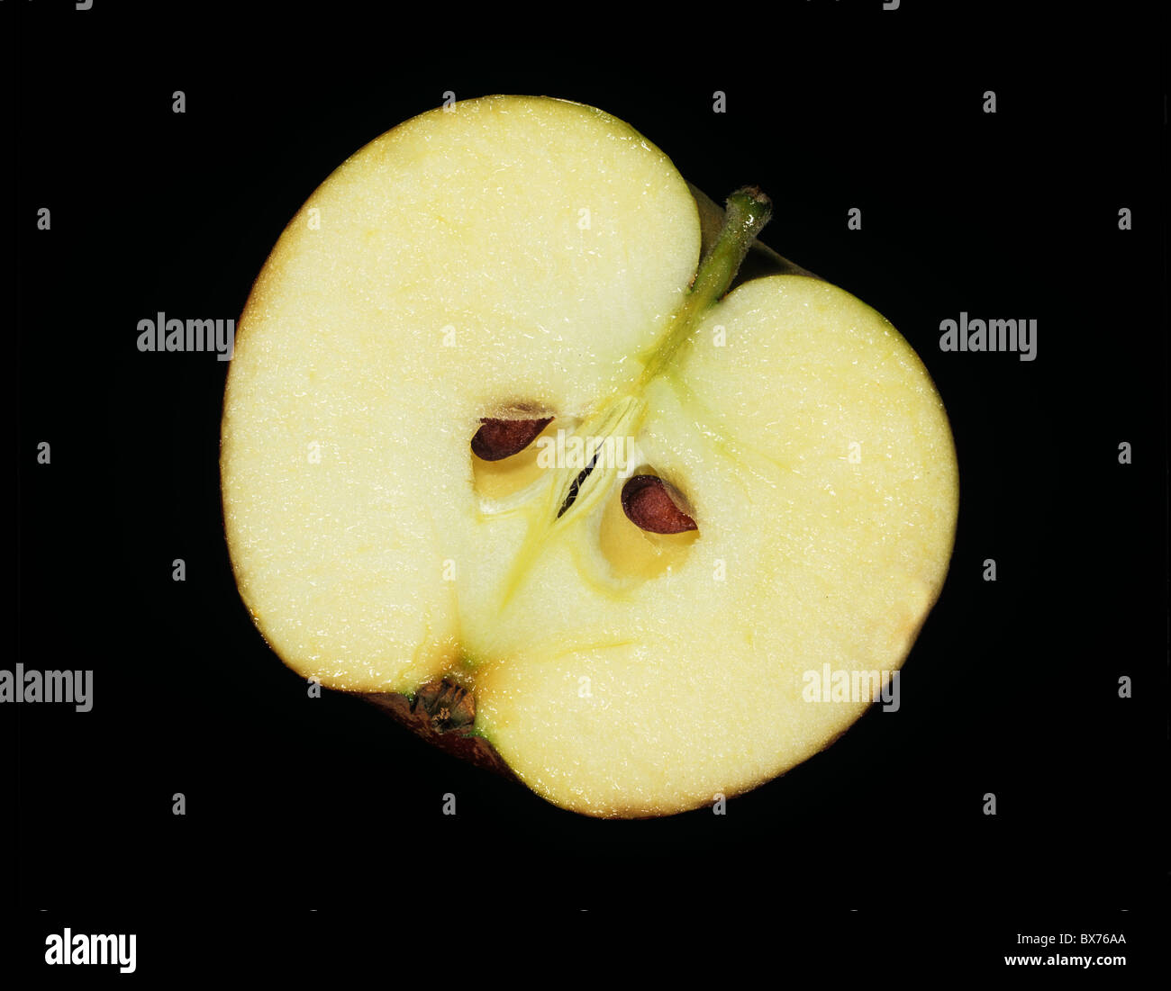 Longitudinal hi-res stock photography and images - Alamy