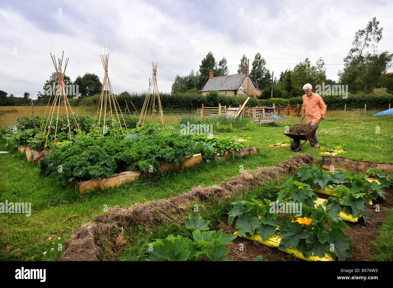 The market garden at the co-housing community at Cole Street Farm near ...